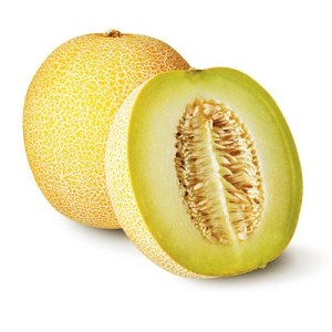 Galia Melon – Biosphera